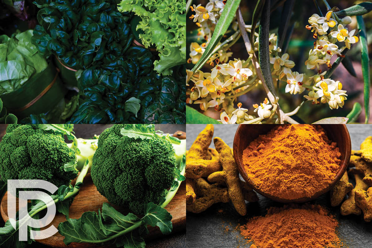Nutrition for Concussion Recovery: Supplements, Foods and More ...